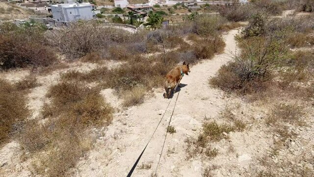 Dry-Land 이미지 – 찾아보기 452 스톡 사진, 벡터 및 비디오 | Adobe Stock