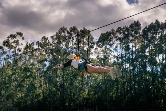 Canopi-Bilder: Stock-Fotos & -Videos. | Adobe Stock