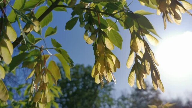 Manitoba 影像 – 瀏覽 13,856 個素材庫相片、向量圖和影片 | Adobe Stock