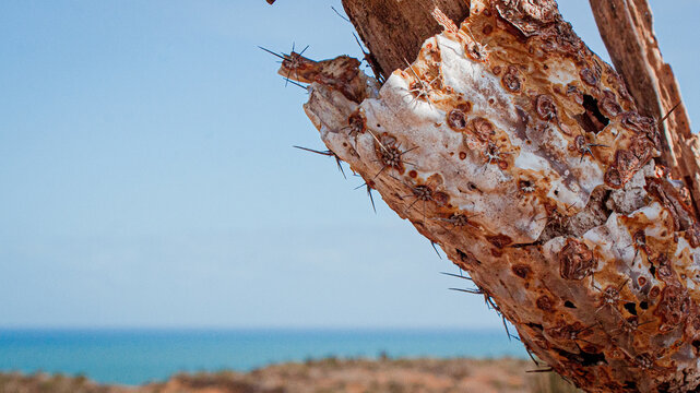 รูปภาพCatus – เลือกดูภาพถ่ายสต็อก เวกเตอร์ และวิดีโอ5,103 | Adobe Stock