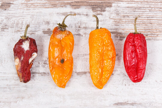 Ekelig Bilder – Durchsuchen 179,373 Archivfotos, Vektorgrafiken und ...