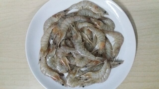 "Penaeus Indicus" Bilder – Durchsuchen 166 Archivfotos, Vektorgrafiken ...