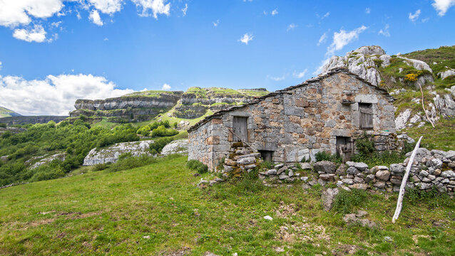 「Chumino」の写真素材 | 20件の無料イラスト画像 | Adobe Stock