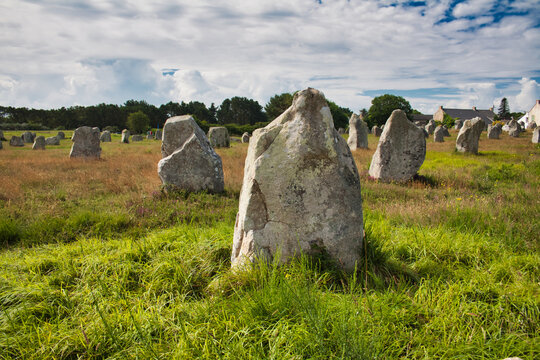 รูปภาพDawne – เลือกดูภาพถ่ายสต็อก เวกเตอร์ และวิดีโอ309 | Adobe Stock