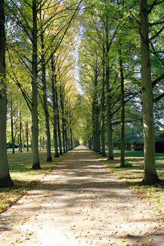 「Baeume」の画像 - 7,989 件の Stock 写真、ベクターおよびビデオ | Adobe Stock