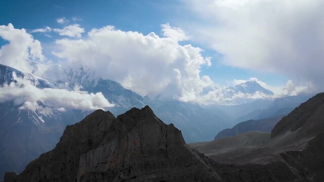 "Torong Imagens – Procure 107 fotos, vetores e vídeos | Adobe Stock