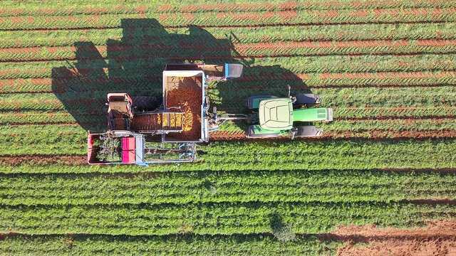 Mechanize bilder – Bläddra bland 54,540 stockfoton, vektorer och videor ...