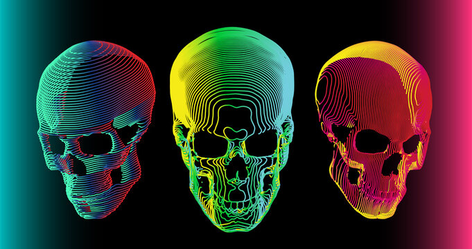 Fotos, lizenzfreie Bilder, Grafiken, Vektoren und Videos von Cranium ...