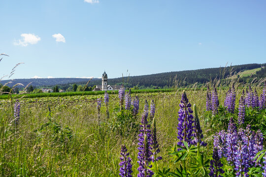 รูปภาพMeisel – เลือกดูภาพถ่ายสต็อก เวกเตอร์ และวิดีโอ373 | Adobe Stock
