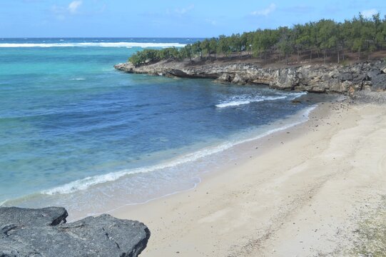 รูปภาพRodrigues – เลือกดูภาพถ่ายสต็อก เวกเตอร์ และวิดีโอ1,341 | Adobe Stock
