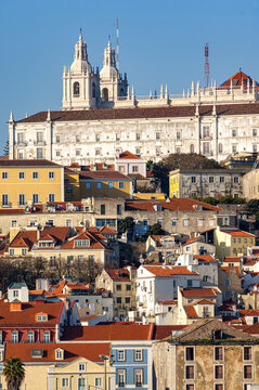 Alfam Images – Browse 44 Stock Photos, Vectors, and Video | Adobe Stock