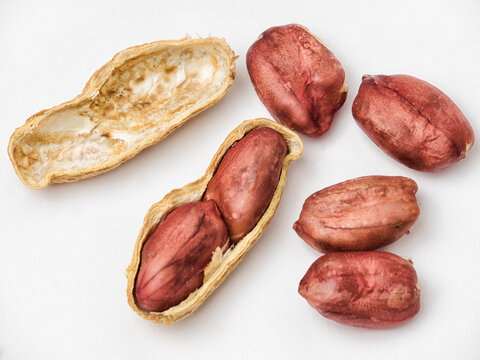 รูปภาพCacahuate – เลือกดูภาพถ่ายสต็อก เวกเตอร์ และวิดีโอ987 | Adobe Stock