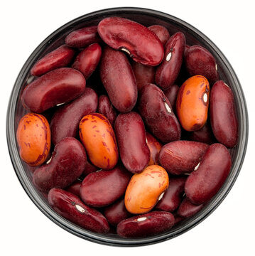 รูปภาพCacahuate – เลือกดูภาพถ่ายสต็อก เวกเตอร์ และวิดีโอ987 | Adobe Stock