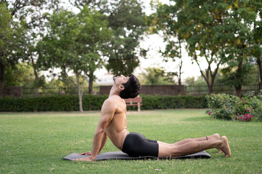 Aasan Images – Browse 60 Stock Photos, Vectors, and Video | Adobe Stock