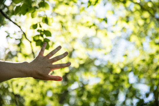 Éblouie Images – Browse 37 Stock Photos, Vectors, and Video | Adobe Stock