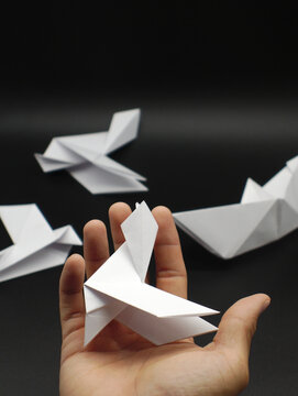 Afbeeldingen over "Paper Fold" – Blader in stockfoto's, vectoren en ...