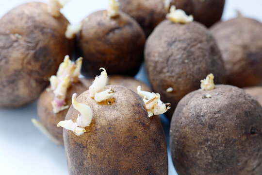 รูปภาพKeimend – เลือกดูภาพถ่ายสต็อก เวกเตอร์ และวิดีโอ138 | Adobe Stock