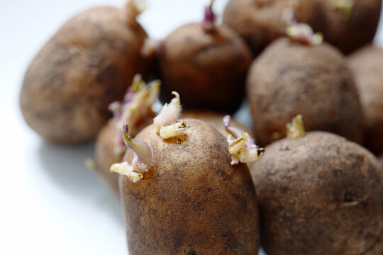 รูปภาพKeimend – เลือกดูภาพถ่ายสต็อก เวกเตอร์ และวิดีโอ138 | Adobe Stock