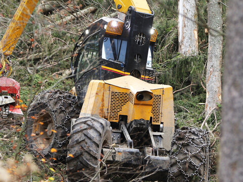 Tree Harvester Machine