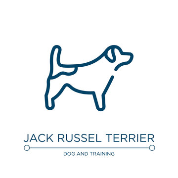 รูปภาพJack-Russel – เลือกดูภาพถ่ายสต็อก เวกเตอร์ และวิดีโอ443 | Adobe Stock