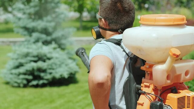 Fumigate Images – Browse 12,844 Stock Photos, Vectors, and Video ...