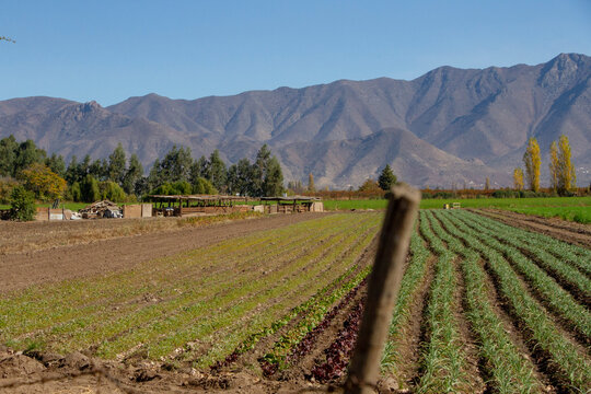 รูปภาพSembradio – เลือกดูภาพถ่ายสต็อก เวกเตอร์ และวิดีโอ169 | Adobe Stock