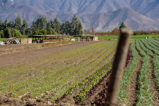รูปภาพSembradio – เลือกดูภาพถ่ายสต็อก เวกเตอร์ และวิดีโอ169 | Adobe Stock