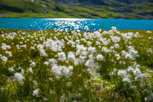 รูปภาพZakan – เลือกดูภาพถ่ายสต็อก เวกเตอร์ และวิดีโอ135 | Adobe Stock