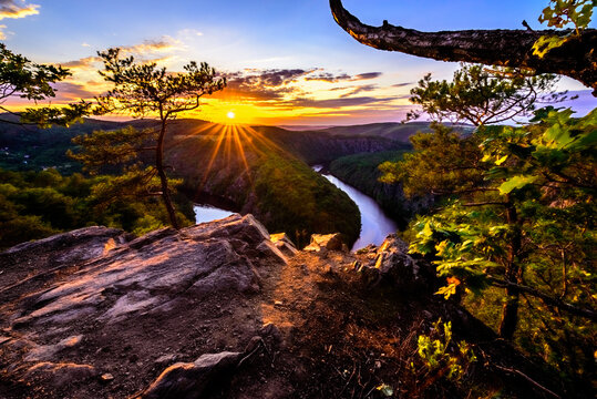 Maj Bilder – Durchsuchen 3,976 Archivfotos, Vektorgrafiken und Videos ...