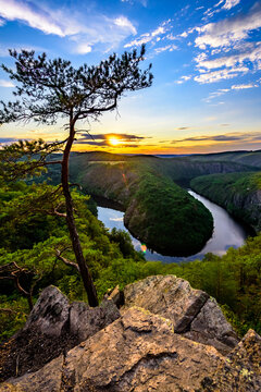 Maj Bilder – Durchsuchen 3,976 Archivfotos, Vektorgrafiken und Videos ...