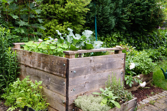 Snail Bed Bilder – Durchsuchen 722 Archivfotos, Vektorgrafiken und ...