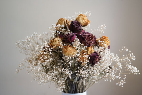 รูปภาพGypso – เลือกดูภาพถ่ายสต็อก เวกเตอร์ และวิดีโอ279 | Adobe Stock