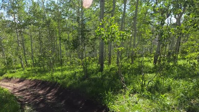 Trailblazers Images – Browse 909 Stock Photos, Vectors, and Video ...