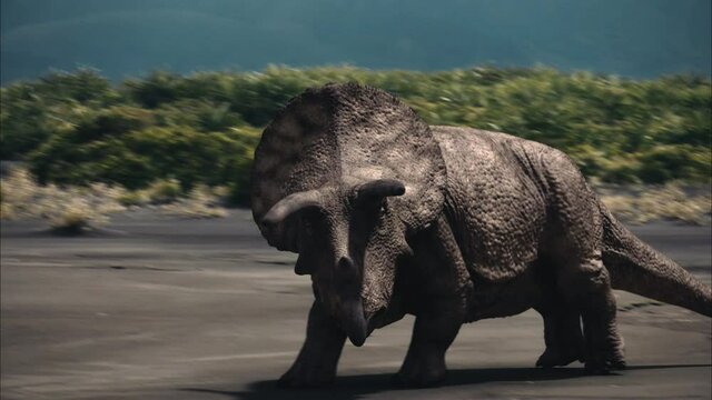 Imágenes de Triceratops: descubre bancos de fotos, ilustraciones ...