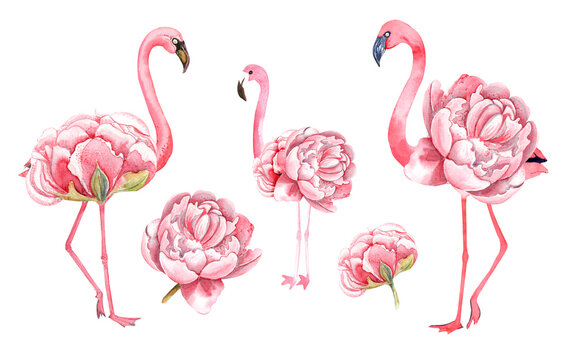 Pink Flamingos Clip Art Free