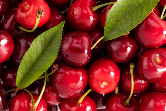 "Cherry Background" Images – Browse 4,655 Stock Photos, Vectors, and ...