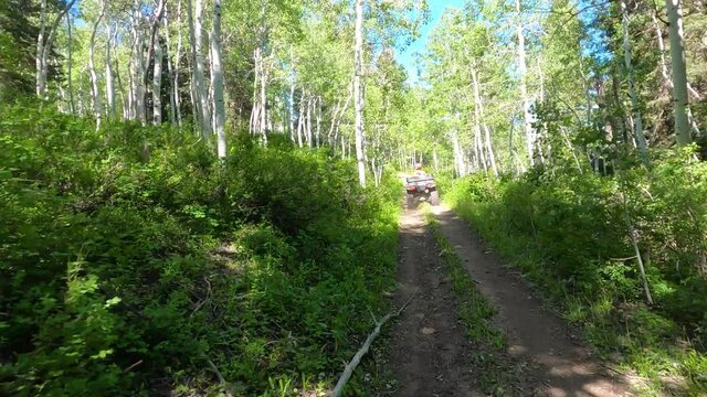 Trailblazers Images – Browse 909 Stock Photos, Vectors, and Video ...