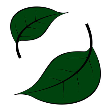 Rotando Images – Browse 17 Stock Photos, Vectors, and Video | Adobe Stock