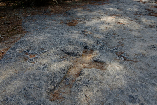 Labaru Images – Browse 63 Stock Photos, Vectors, and Video | Adobe Stock