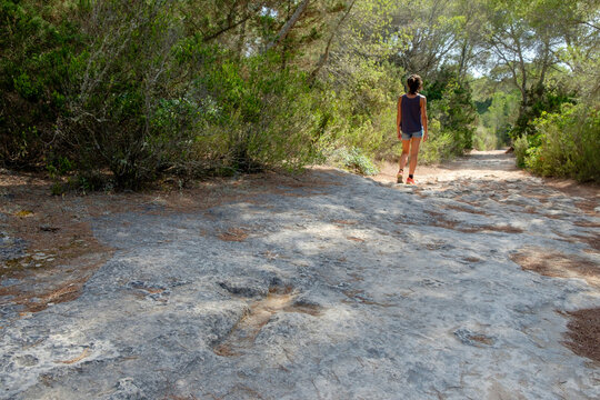 Labaru Images – Browse 63 Stock Photos, Vectors, and Video | Adobe Stock