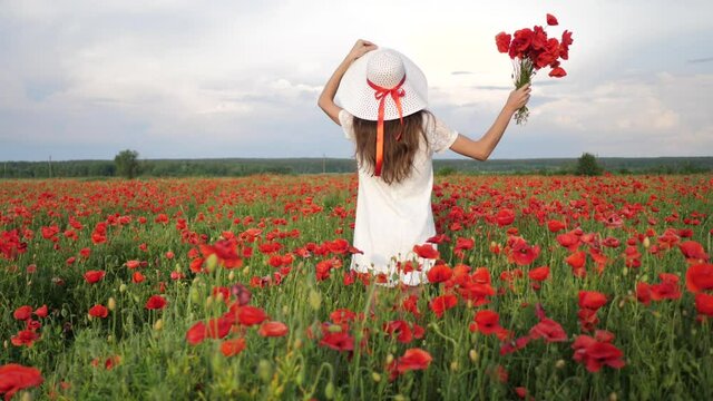 "Poppies Background" - Images et vidéos libres de droits | Adobe Stock