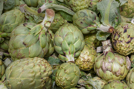 Syn Bilder – Durchsuchen 4,334 Archivfotos, Vektorgrafiken und Videos ...