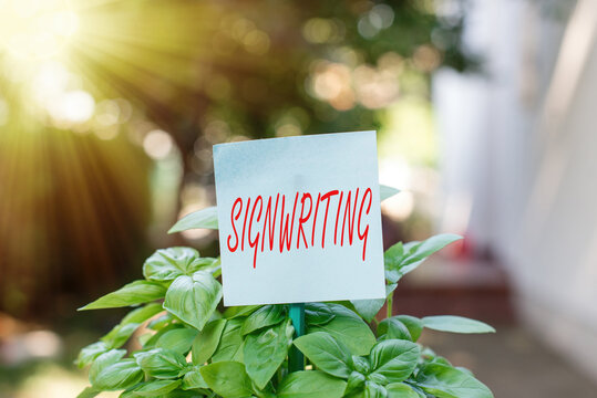 Signwriting Images – Browse 78 Stock Photos, Vectors, and Video | Adobe ...