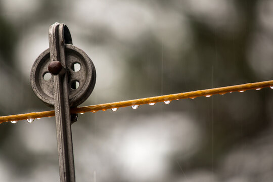 Closeline Imagens – Procure 13 fotos, vetores e vídeos | Adobe Stock