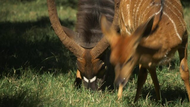 รูปภาพBokke – เลือกดูภาพถ่ายสต็อก เวกเตอร์ และวิดีโอ204 | Adobe Stock