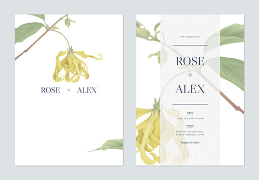 รูปภาพIlang-Ilang – เลือกดูภาพถ่ายสต็อก เวกเตอร์ และวิดีโอ3,747 | Adobe ...