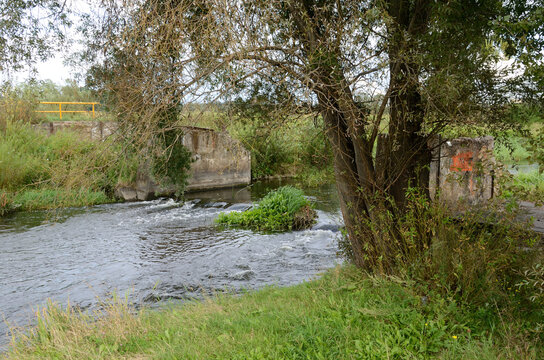 Widawa Images – Browse 45 Stock Photos, Vectors, and Video | Adobe Stock