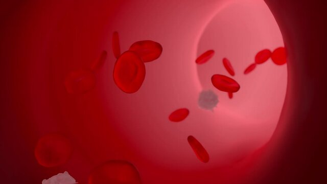 White Blood Cell Images – Browse 36,403 Stock Photos, Vectors, and ...