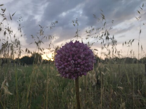 รูปภาพBrezo – เลือกดูภาพถ่ายสต็อก เวกเตอร์ และวิดีโอ1,429 | Adobe Stock