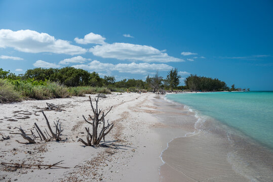 Jutia Bilder – Durchsuchen 228 Archivfotos, Vektorgrafiken und Videos ...